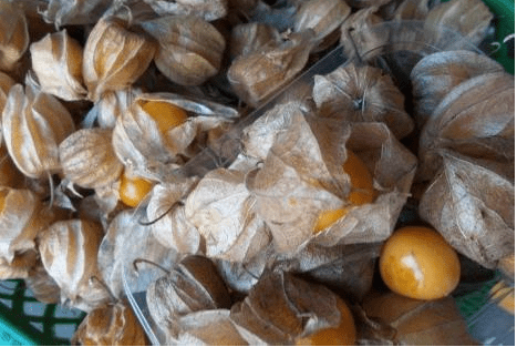 Bolivian food 101: 23 exotic fruits that you must try in Santa Cruz ...